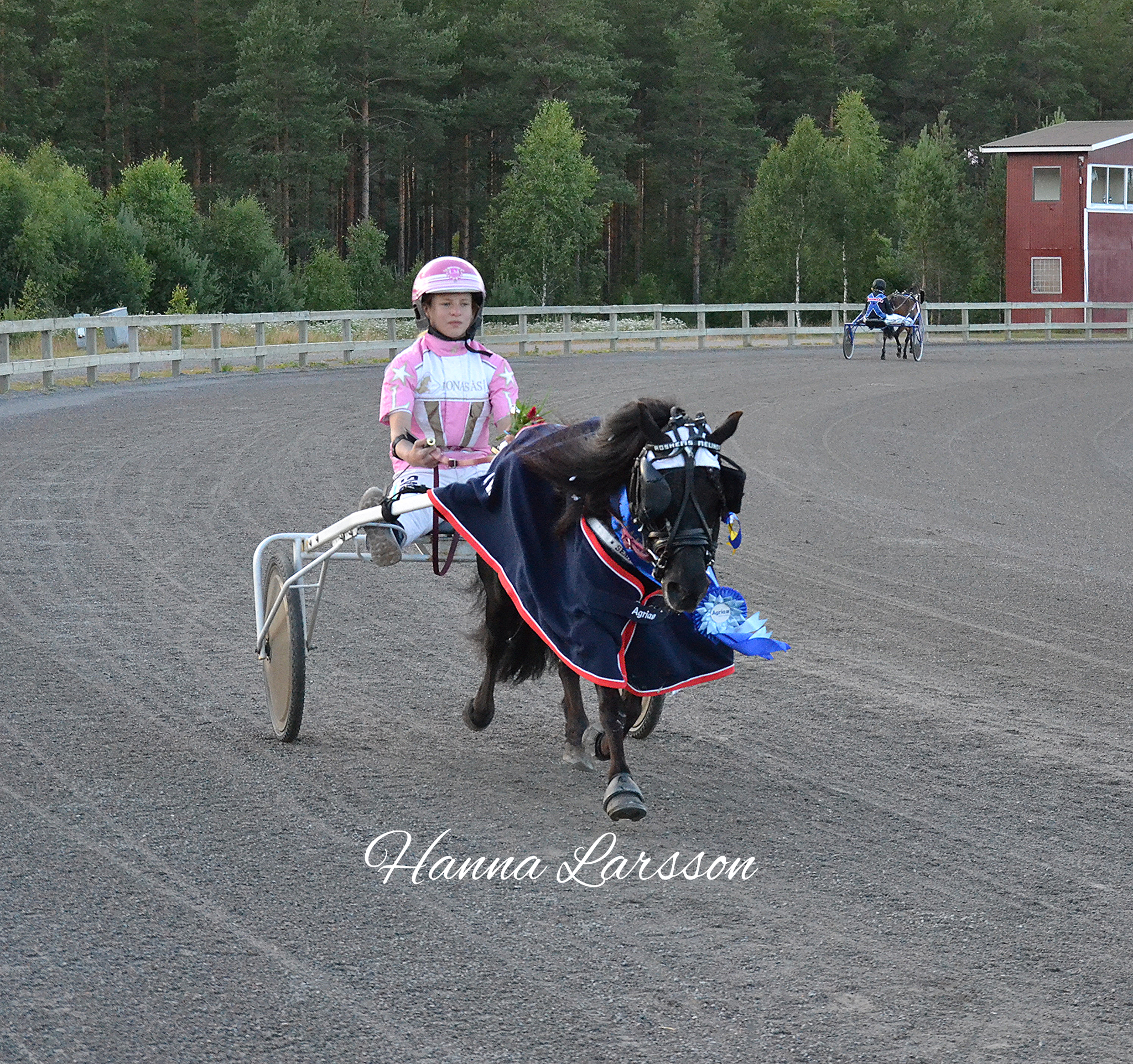 Resultat ponny 5 juli